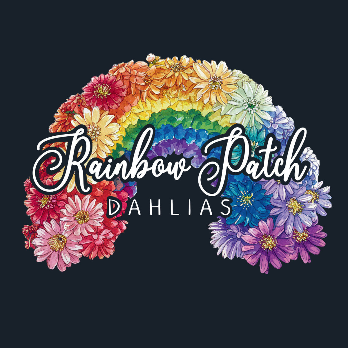 Cuttings — Rainbow Patch Dahlias